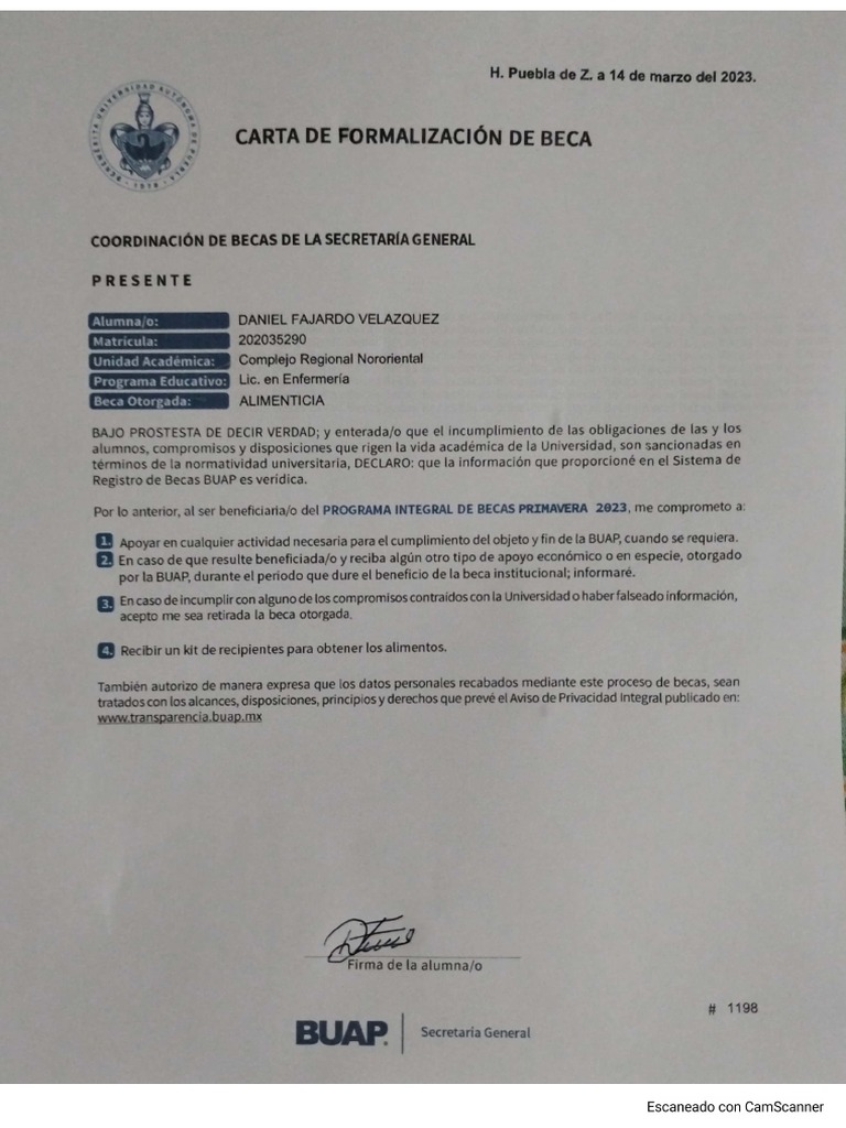 Carta de Formalización de Beca | PDF