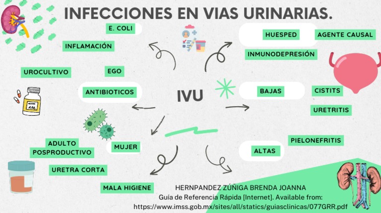 Mapa Mental IVU | PDF