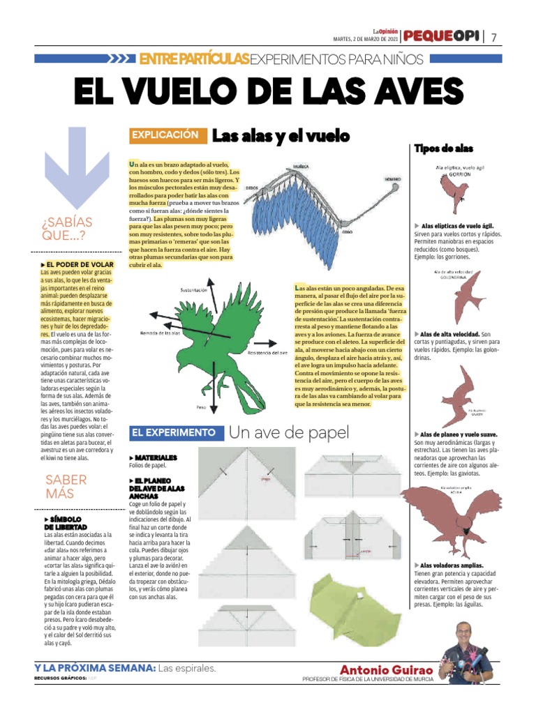 Tipos de Alas y Vuelo en Aves | PDF | Ala | Aves