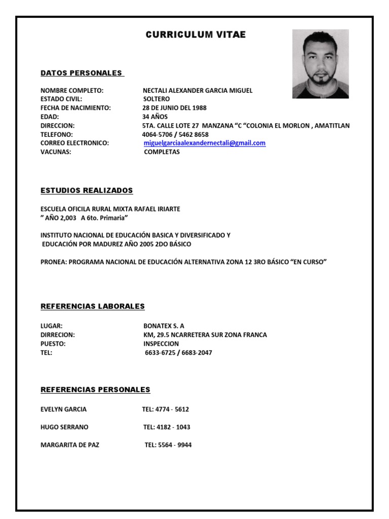 Curriculum Vitae: Datos Personales | PDF