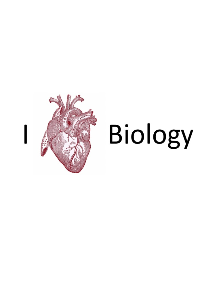 Bio 20 | PDF | Atrium (Heart) | Heart