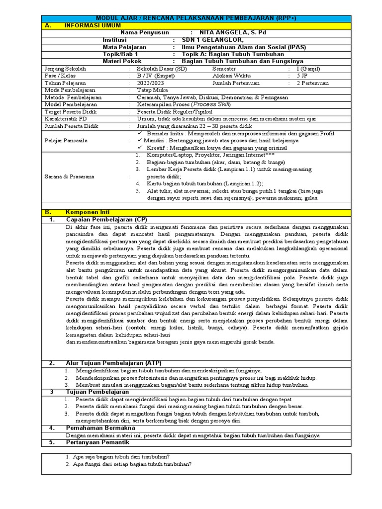 RPP Ipas Semester 1 | PDF