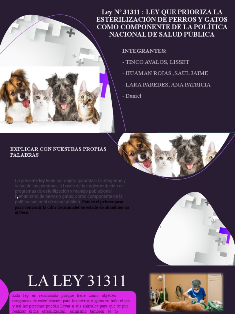 Ley #31311: Ley Que Prioriza La Esterilización de Perros Y Gatos Como ...