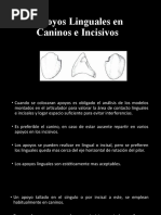 Protocolo Impresión Definitiva para Protesis Total | PDF | Dentadura ...