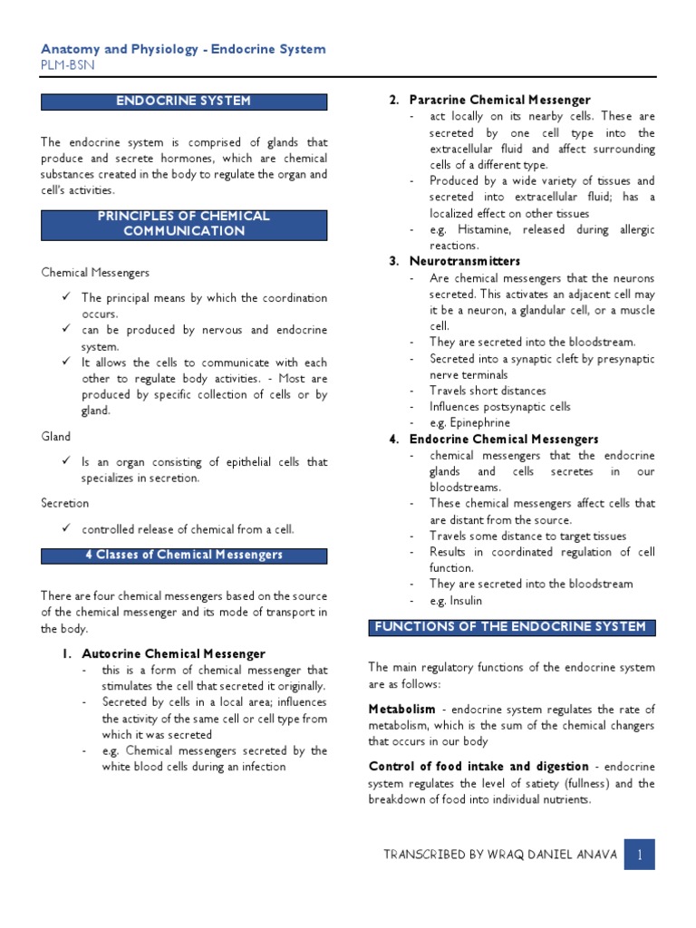 The Endocrine System Trans Pdf Pdf Hormone Endocrine System