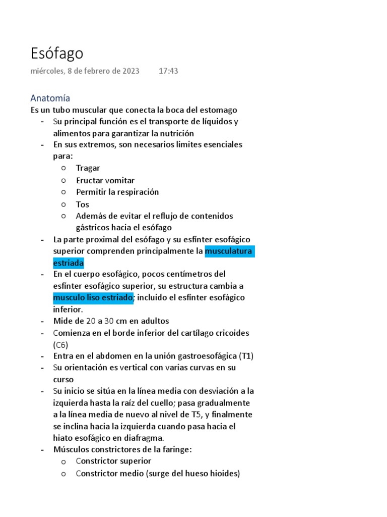 Anatomía y Función del Esófago | PDF | Esófago | Estómago