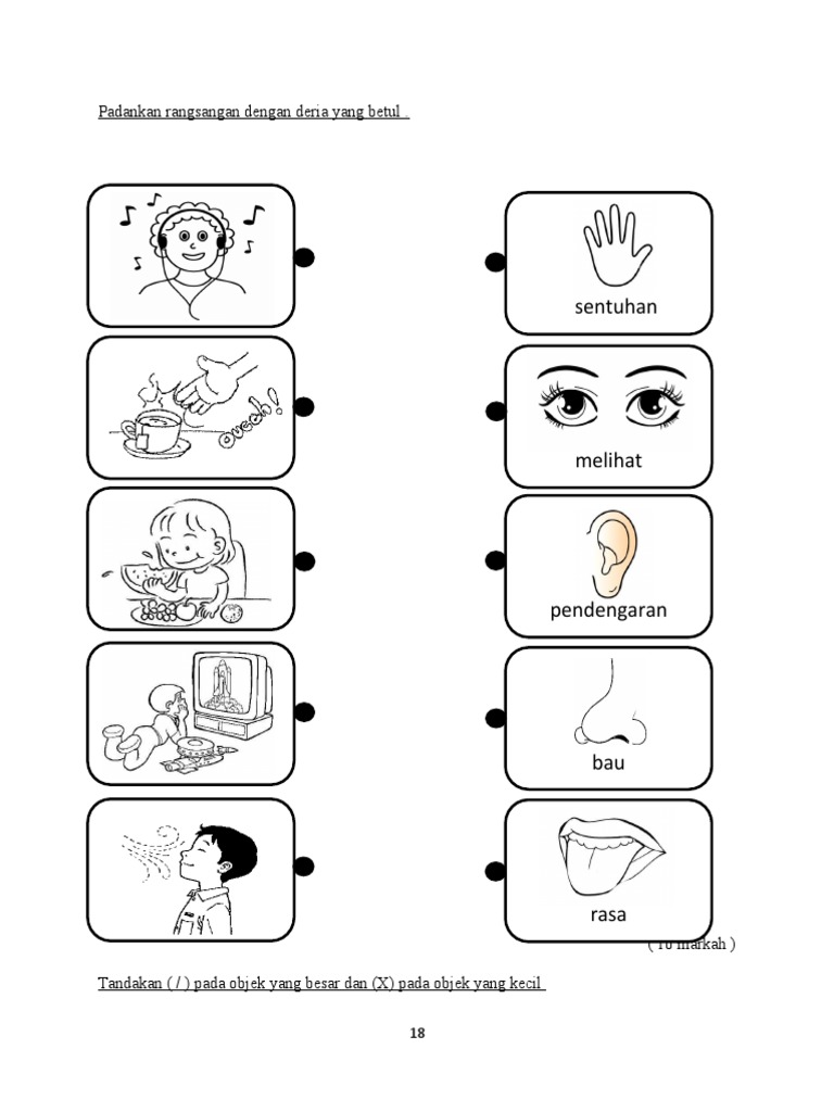 Padankan Rangsangan Dengan Deria Yang Betul | PDF