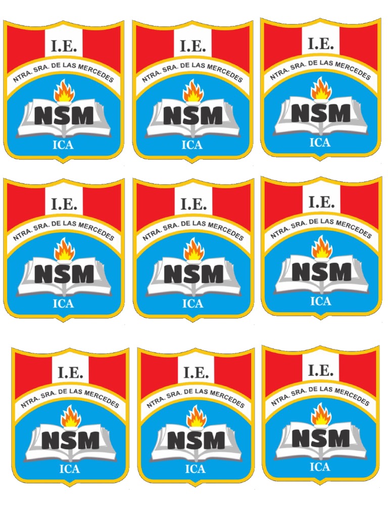 Insignia de NSM | PDF