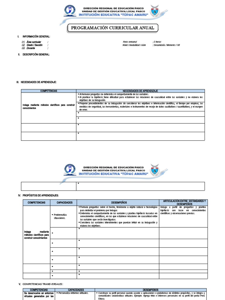 Formato de Programación Anual | PDF | Evaluación | Aprendizaje