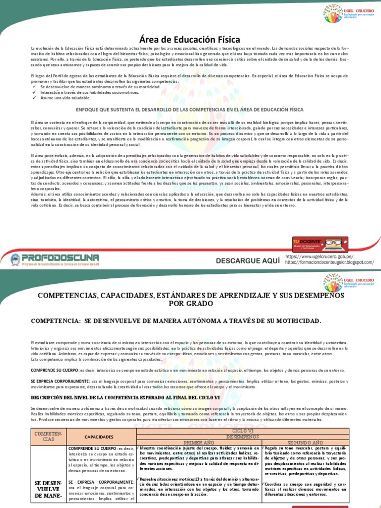Curriculum Educacion Fisica | PDF | Plan de estudios | Las emociones