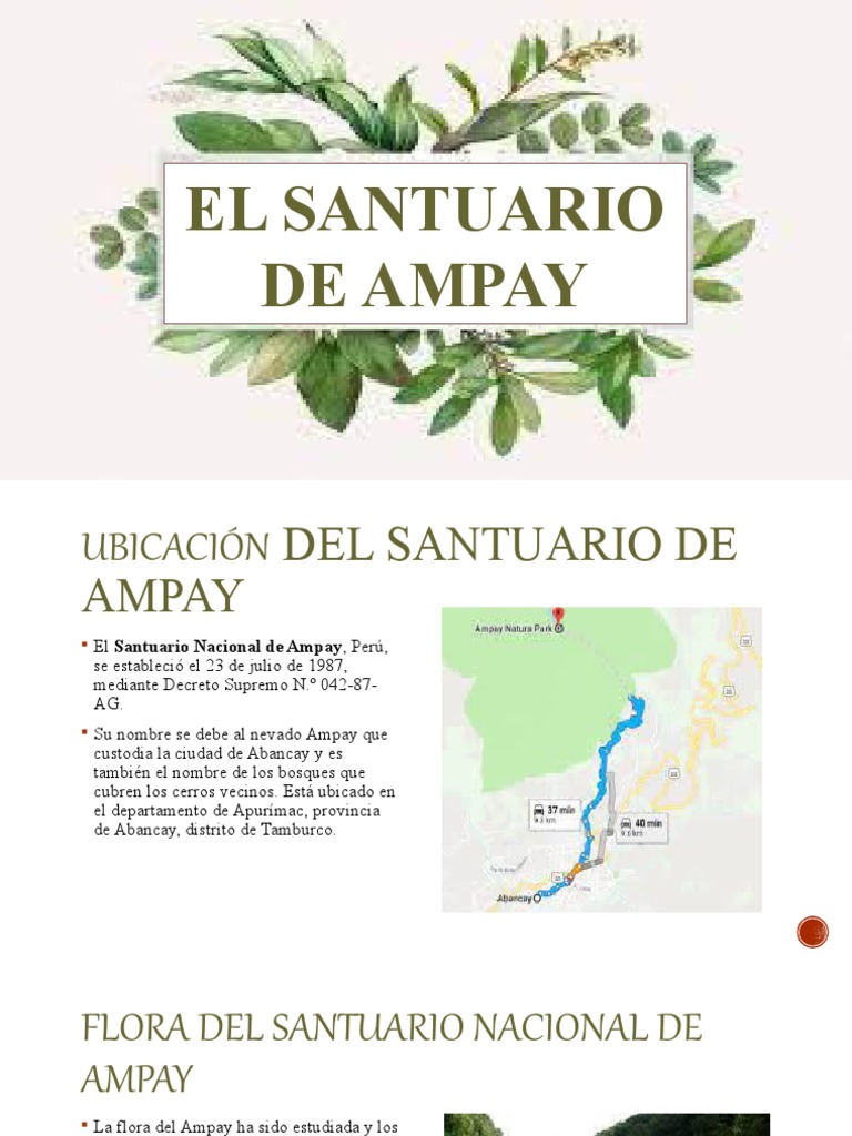 Flora y Fauna del Santuario Ampay | PDF