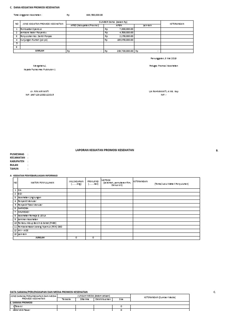 Form Laporan Bulanan Promkes | PDF