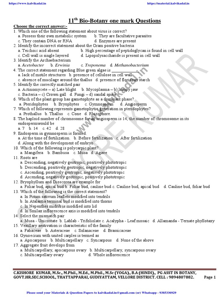 11th Bio - Botany One Mark Question Bank With Answer Key English Medium ...