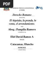 Guia Practica Consultas SINAP SURE | PDF | Propiedad | Bienes raíces