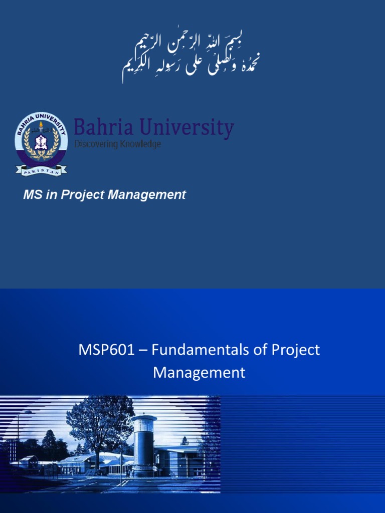 Portfolio Prog Project Life Cycle | PDF | Project Management | Agile Software Development