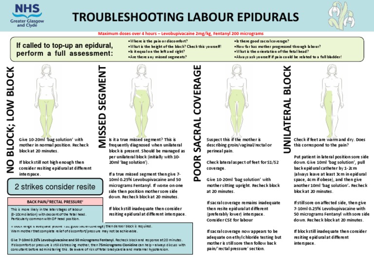 Glasgow Epidural Troubleshooting | PDF | Health Sciences | Medical ...