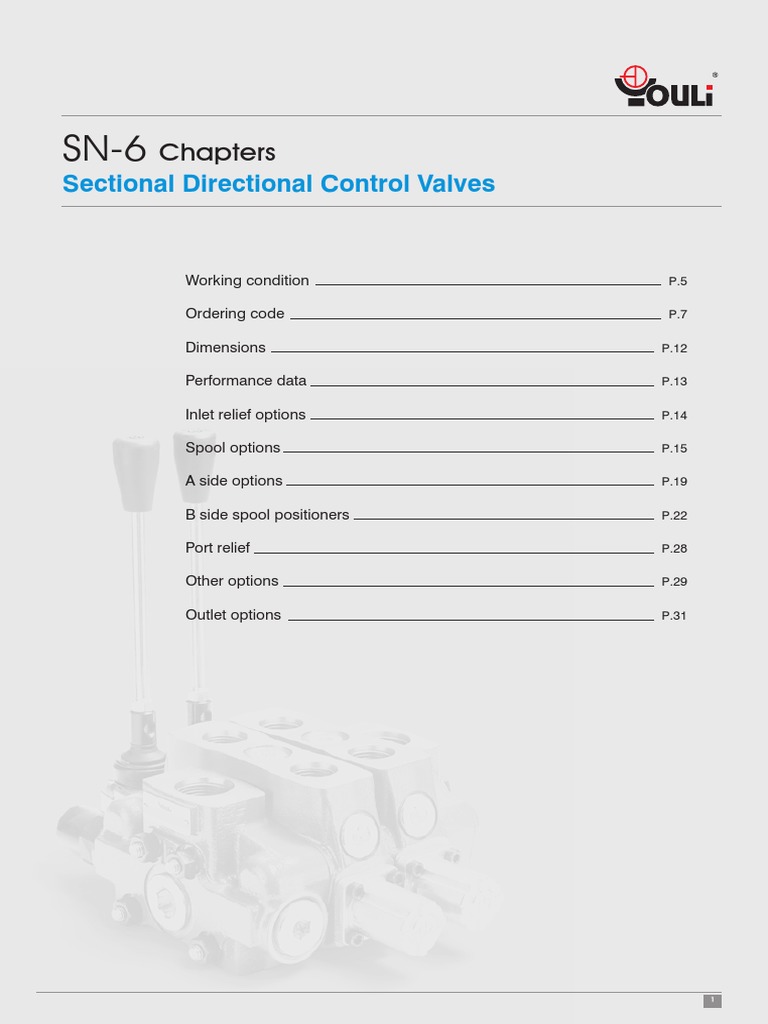 Youli SN-6 Series | PDF | Valve | Viscosity