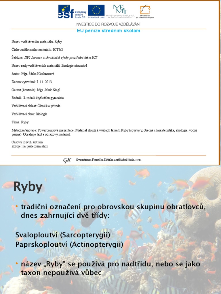 7-2 Ryby | PDF