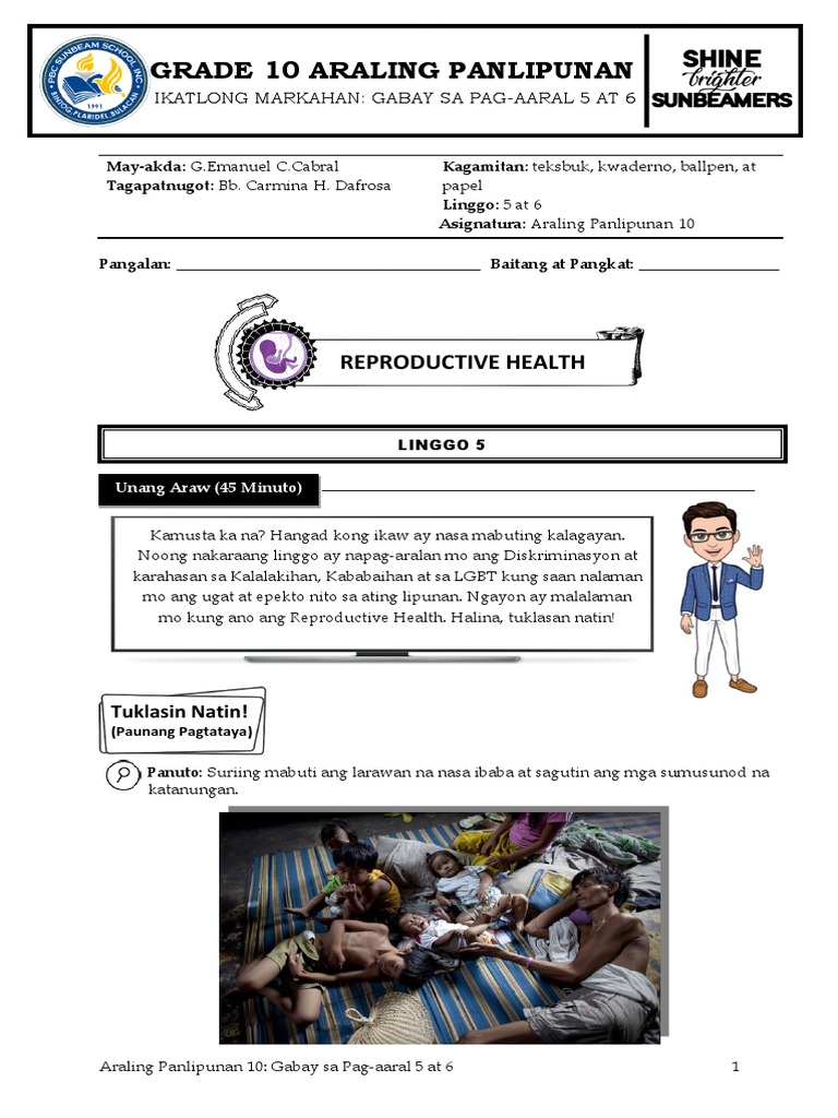 Grade 10 Araling Panlipunan: Reproductive Health | PDF