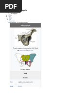 Netter - Atlas of Human Anatomy | PDF | Abdomen | Pelvis