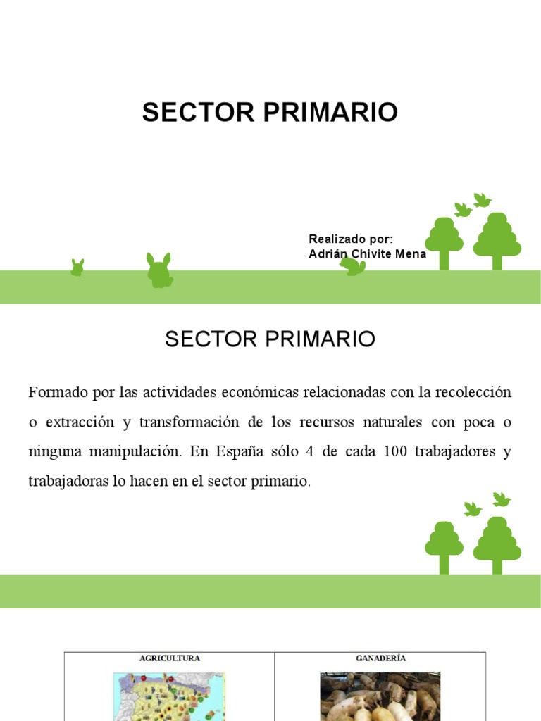 Presentacion SECTOR PRIMARIO | PDF