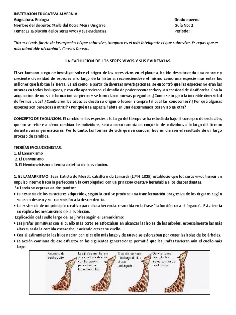 GUIA 2 LA EVOLUCIÓN Y SUS EVIDENCIAS | PDF | Evolución | Especies