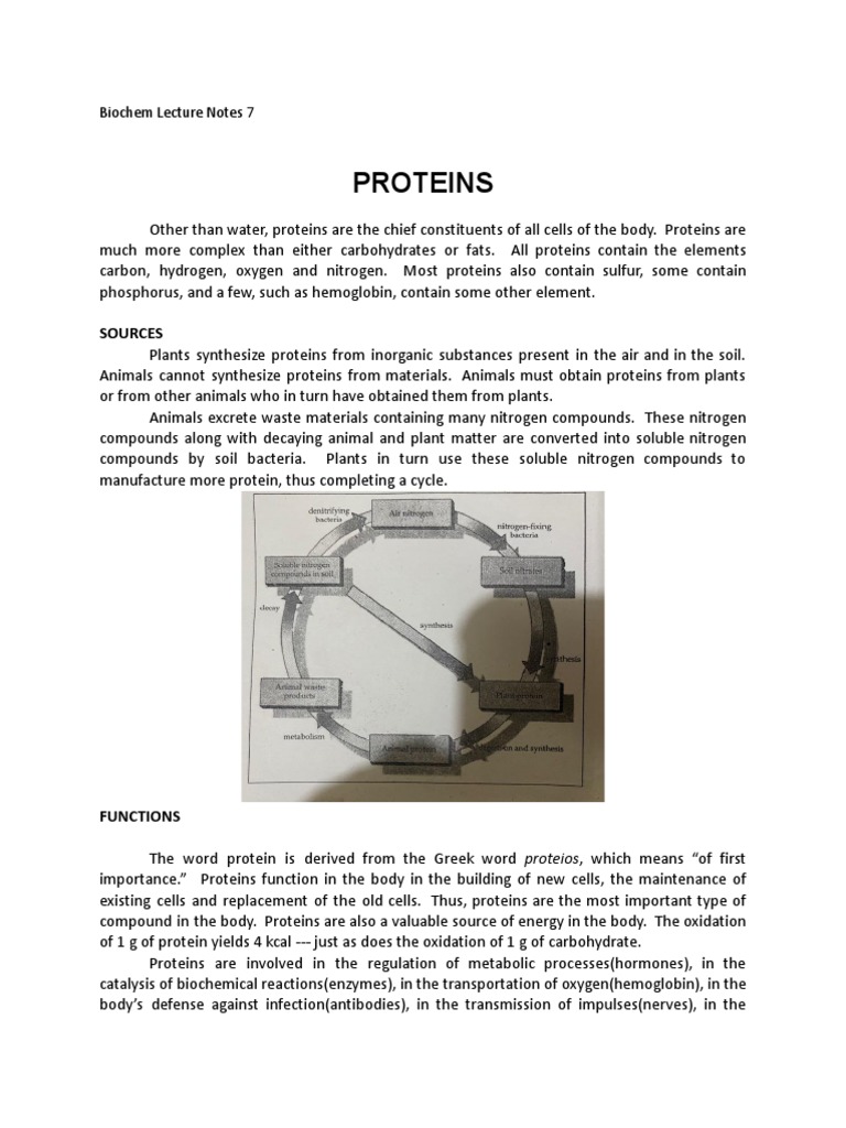 Proteins PDF | PDF | Lipoprotein | Proteins