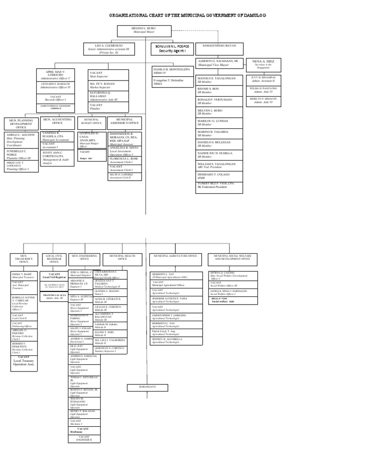 Organizational Chart of The Municipal Government of Damulog | PDF