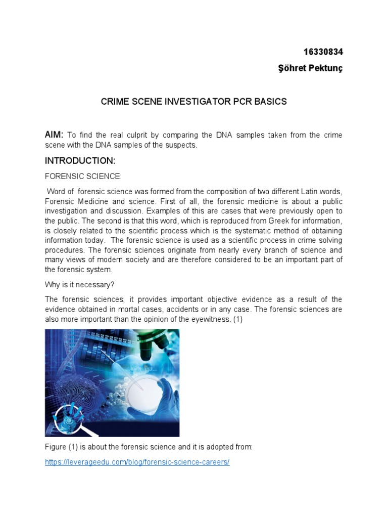 Crime Scene Investigator PCR Basics | PDF | Agarose Gel Electrophoresis ...