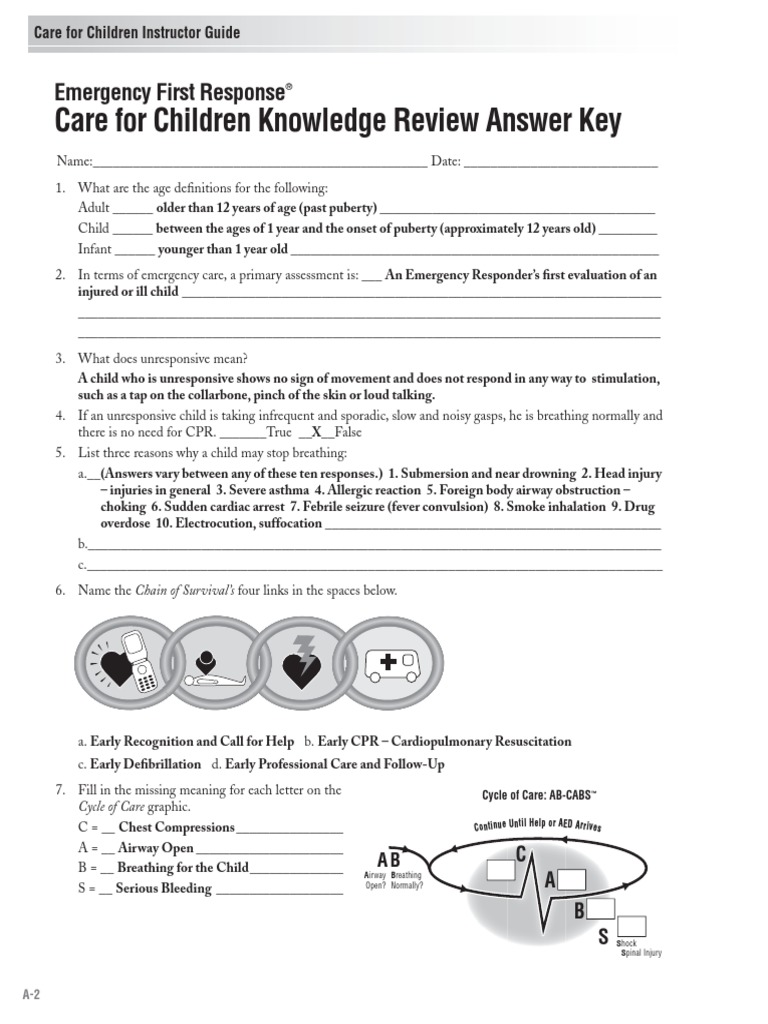 Care for Children Knowledge Reviews | PDF | Cardiopulmonary ...