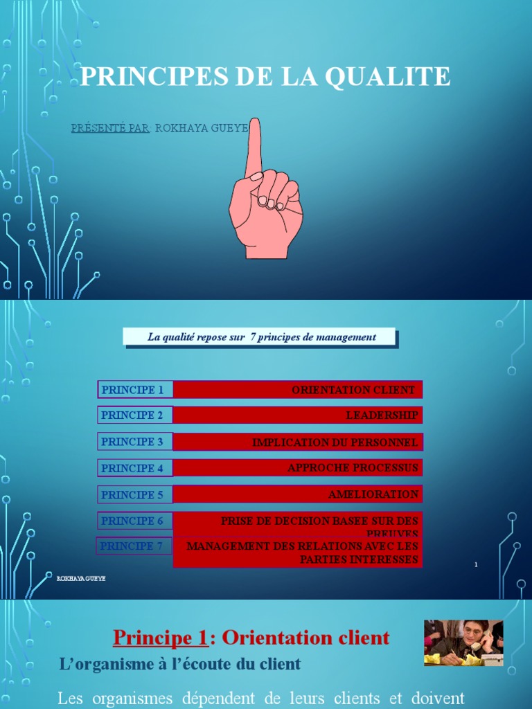Principes de La Qualite | PDF