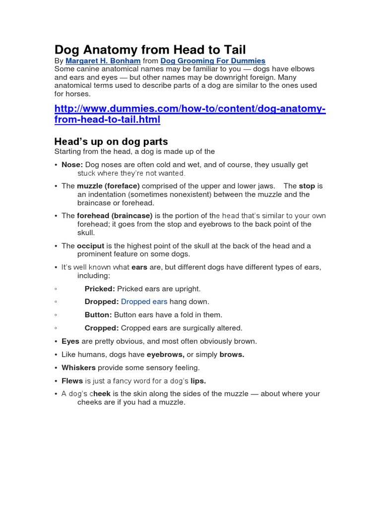 Dog Anatomy From Head To Tail | PDF | Foot | Human Anatomy