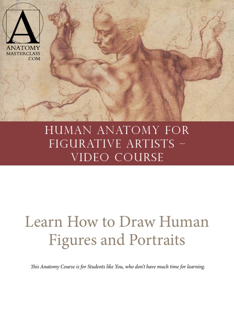 Anatomy Master Class for Artists | PDF | Anatomy