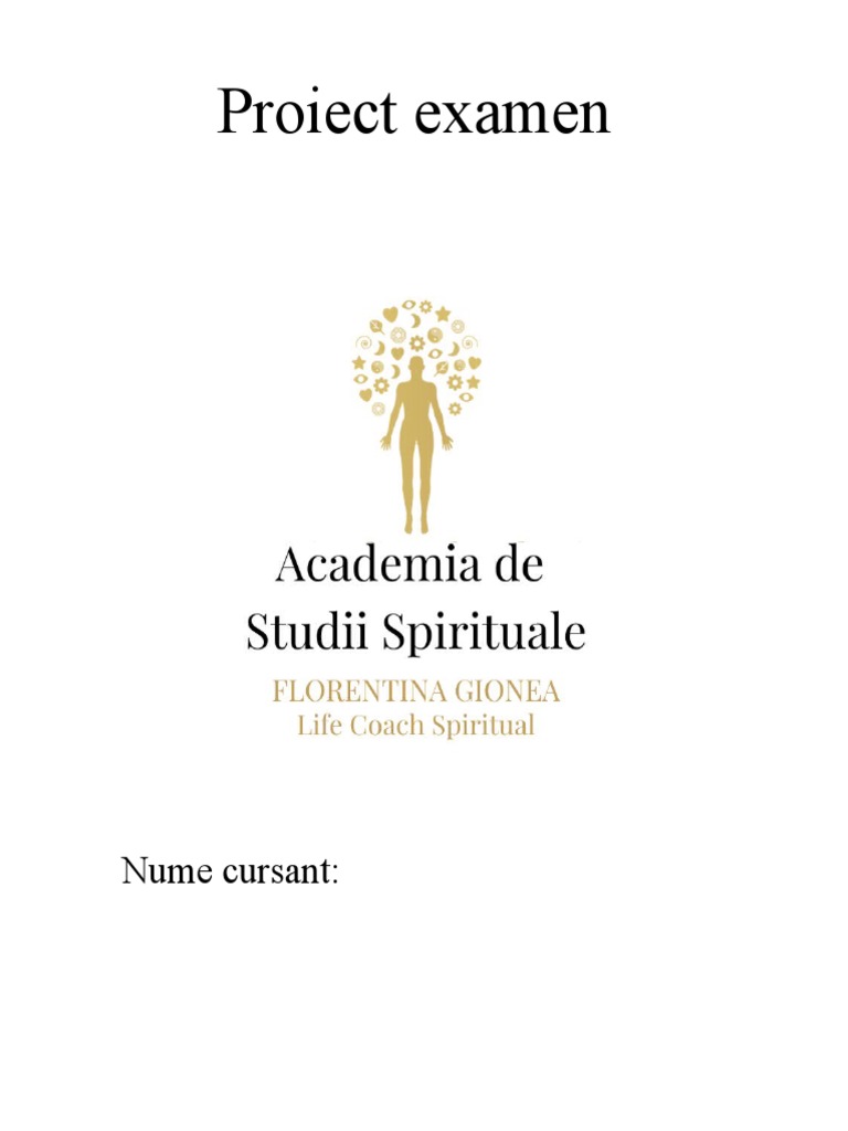 Proiect Exam Template 2 | PDF