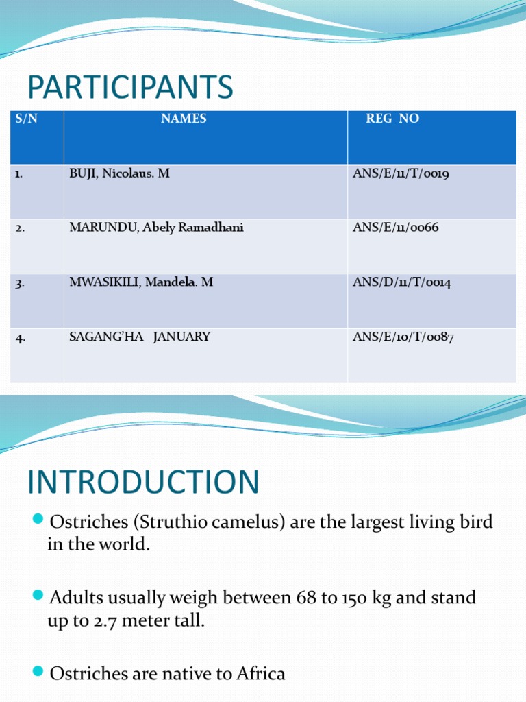 Introduction To Ostrich Science | PDF | Birds | Organisms