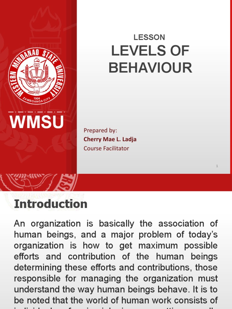 Lesson 3 - LEVELS OF BEHAVIOUR-3 | PDF | Behavior | System