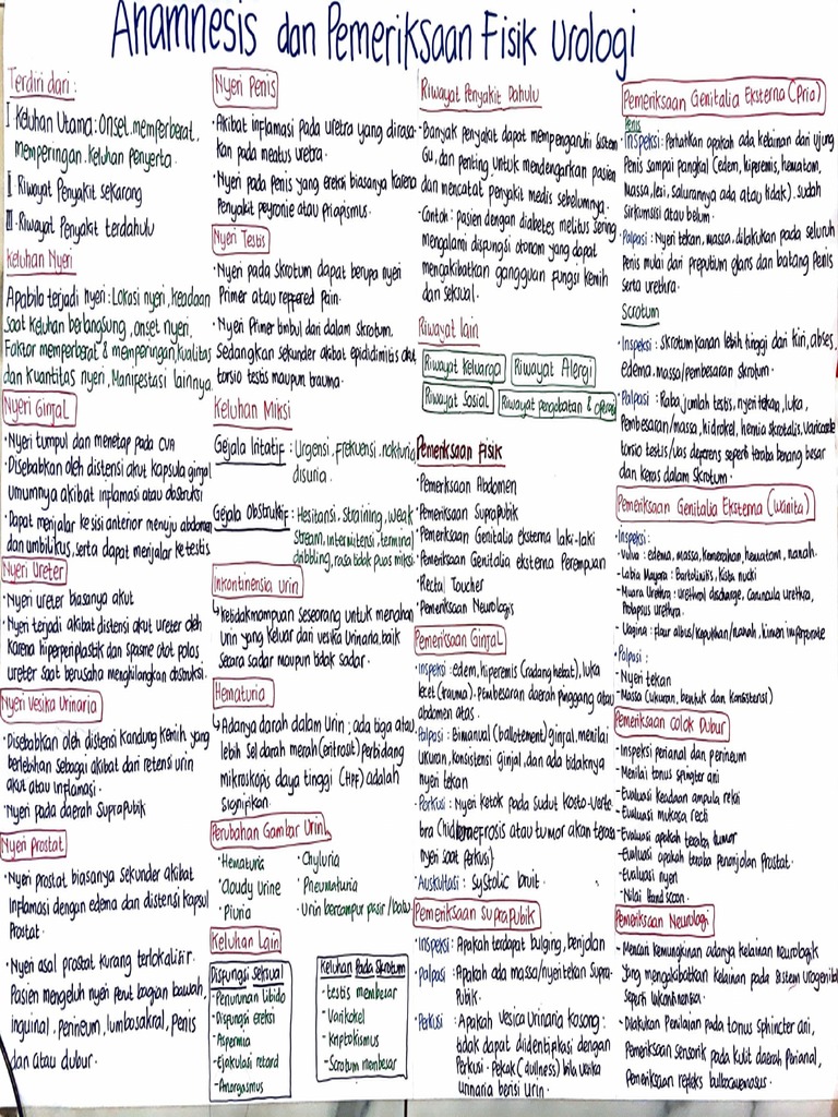 Anam Dan Pemfis | PDF