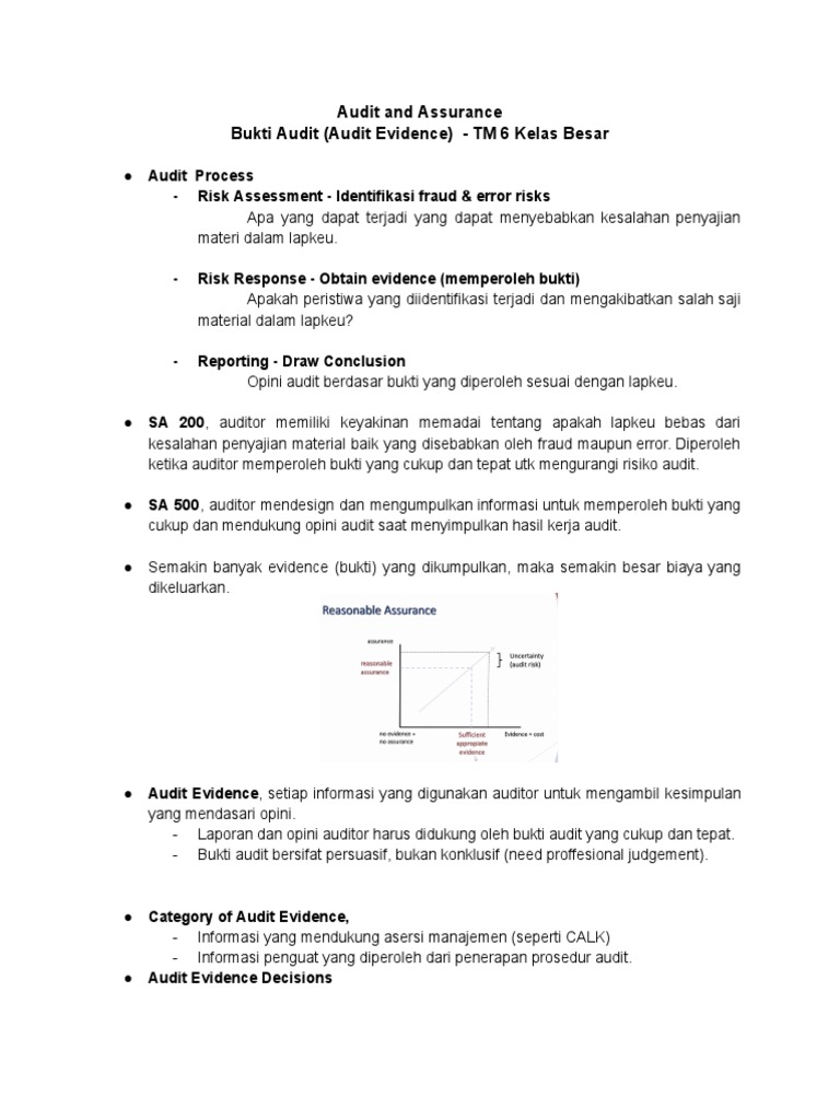 Audit Evidence | PDF