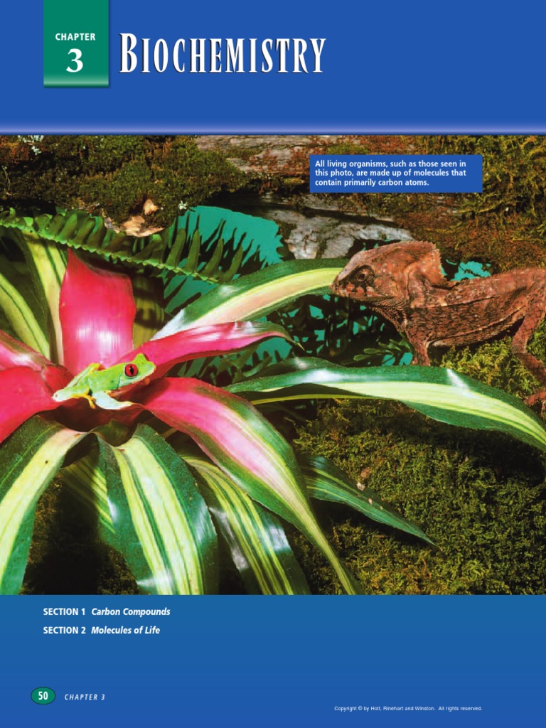 Chapter 3 Biochemistry | PDF | Fatty Acid | Triglyceride