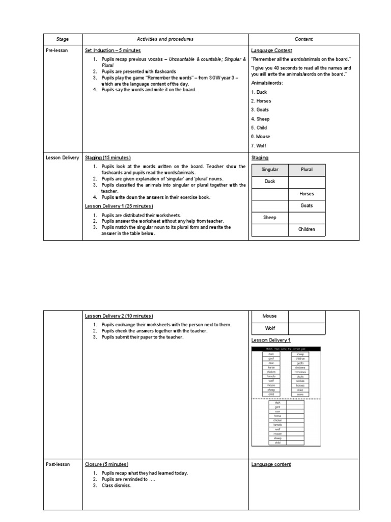 Sample For Lesson Plan PDF Plural Grammatical Number