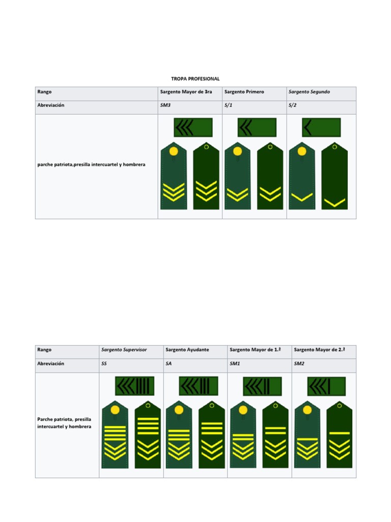 GRADOS MILITARES Y GIROS SOBRE LA MARCHA | PDF | Teniente | Oficial general