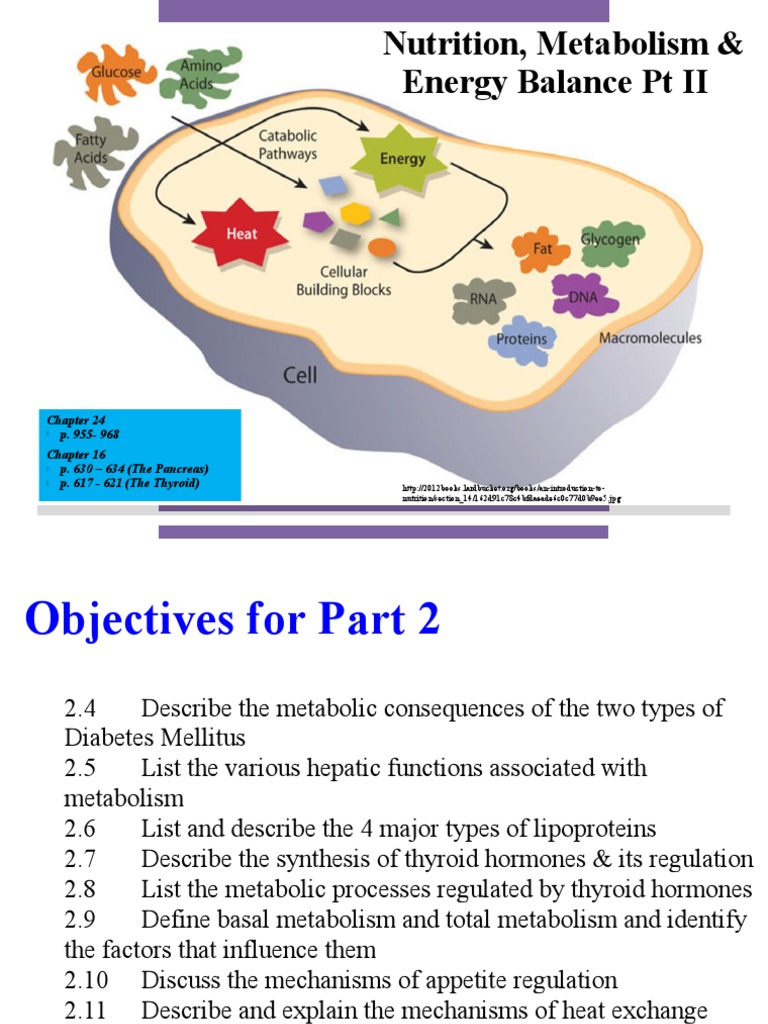 Midterm 2 Merged PPTX - Key | PDF | Antigen | White Blood Cell