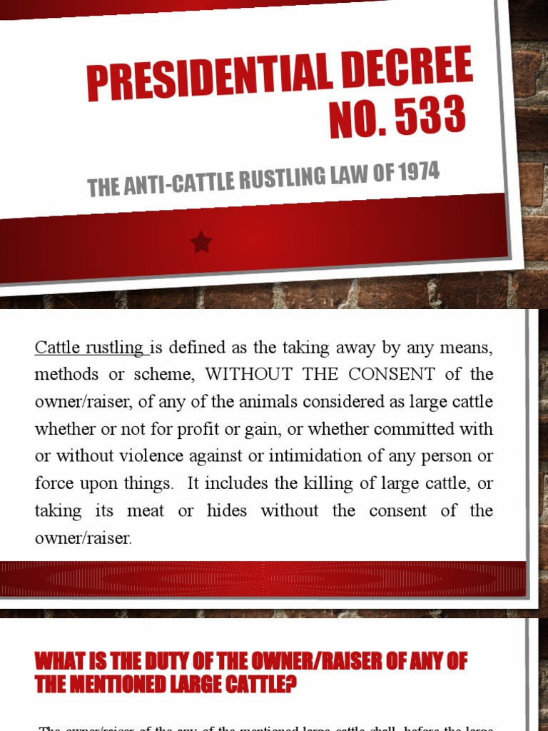 PD 533 Final | PDF | Justice | Crime & Violence