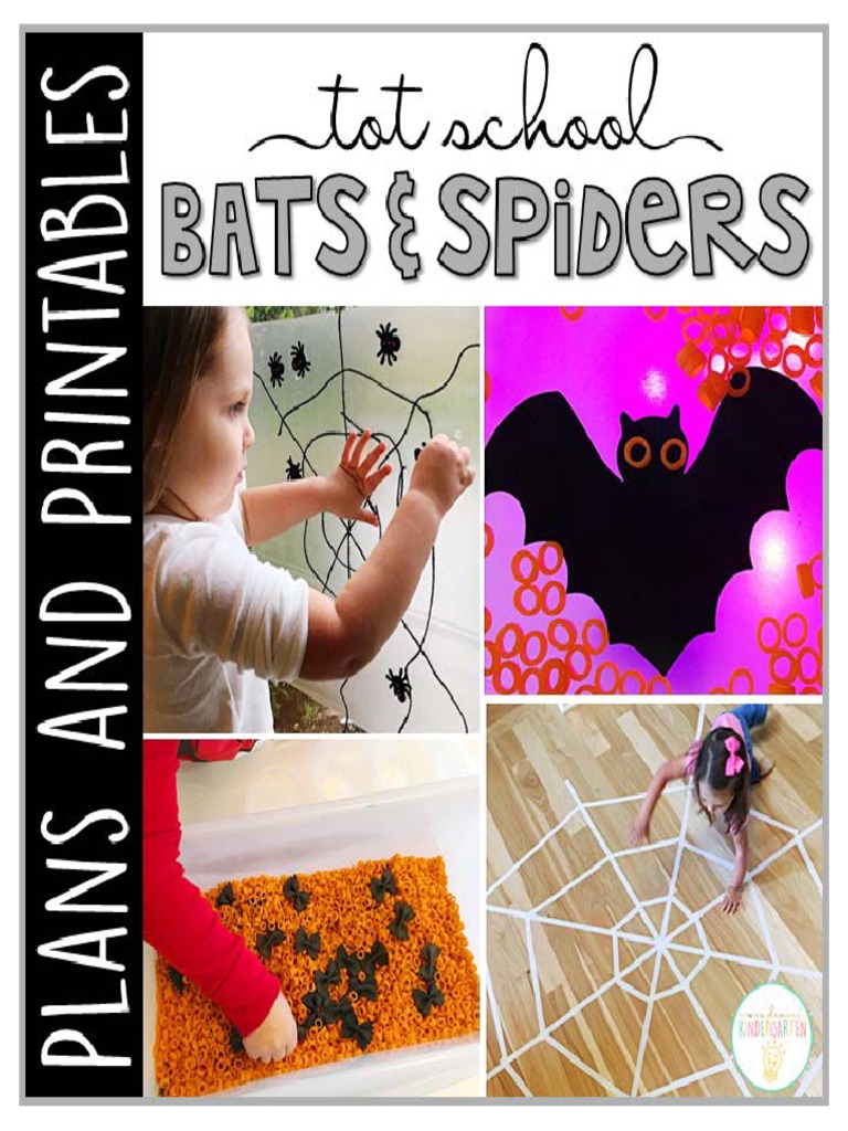Tot School Bats & Spiders | PDF | Spider Web | Spider