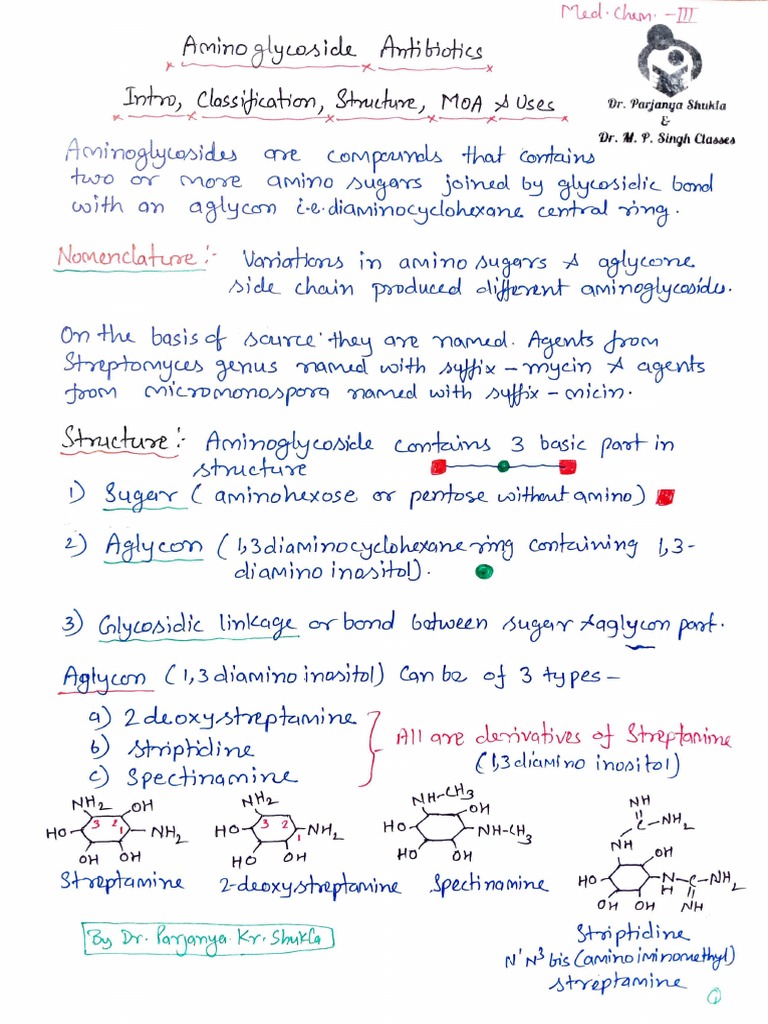 Aminoglycoside Antibiotics Intro, Classes, Structure, MOA, Uses PDF | PDF