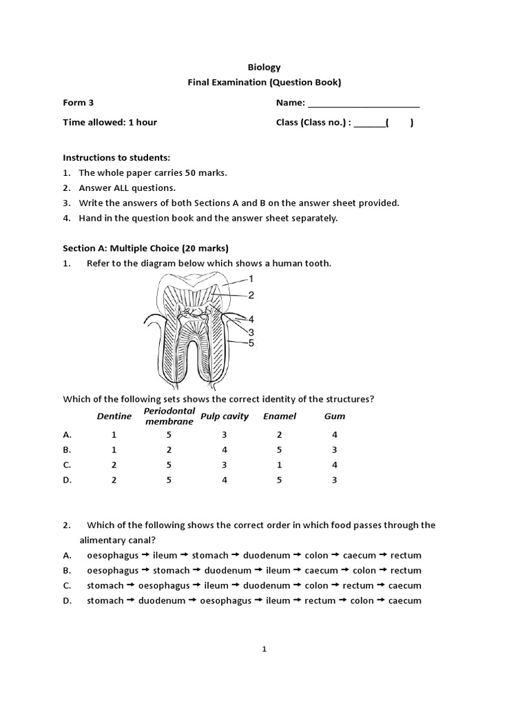Grade 12 Biology Exam Paper | PDF