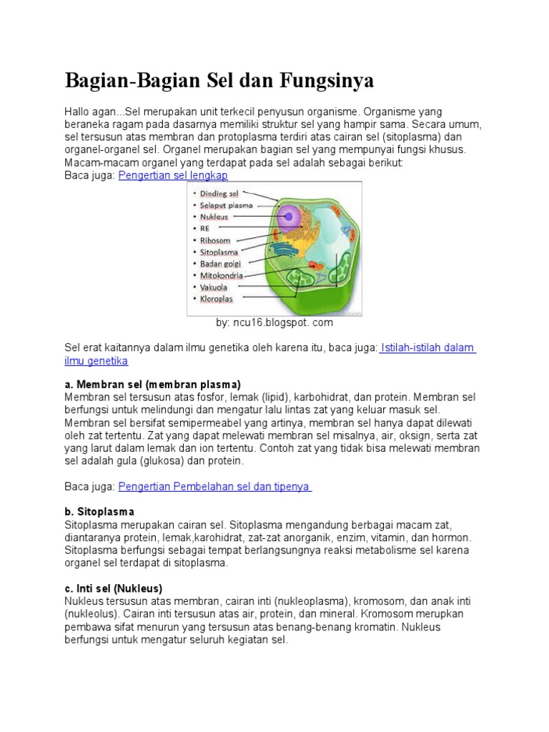 Bagian sel dan fungsinya | PDF