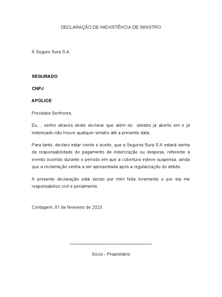 Declaração de Inexistência de Sinistro | PDF