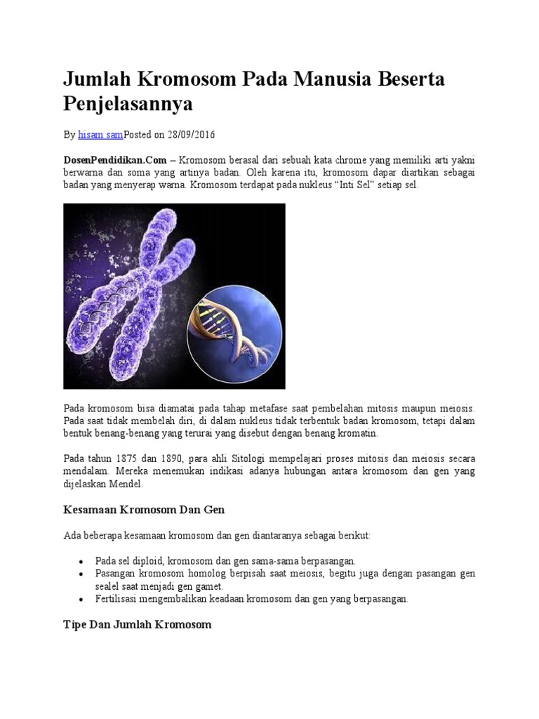 Jumlah Kromosom Manusia dan Penjelasannya | PDF | Filsafat | Sains ...