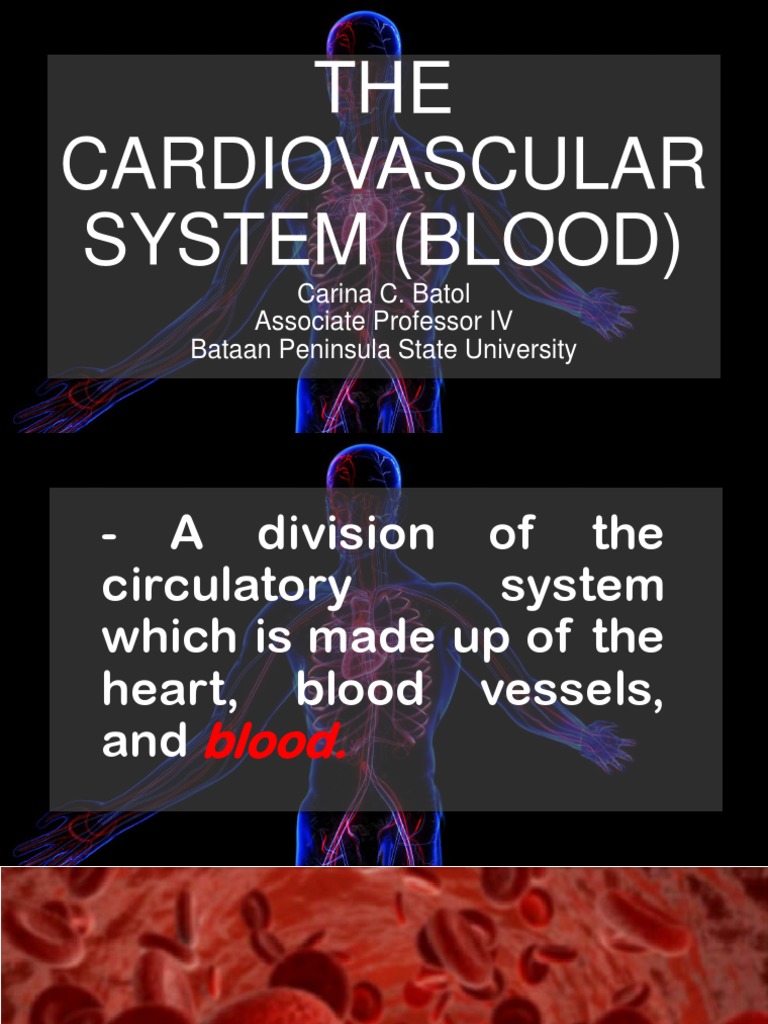 Chapter 14.3 - The Cardiovascular System - The Blood | PDF | Blood Type ...